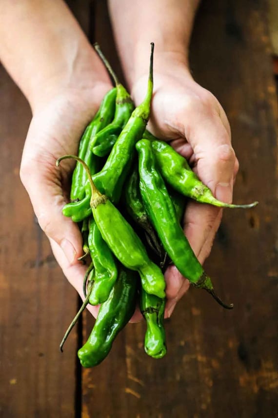 Seared Shishito Peppers (with Video) | How To Feed A Loon