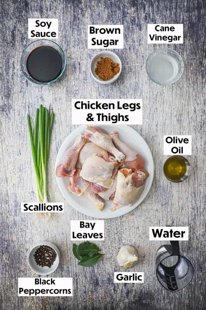 Filipino Chicken Adobo | How To Feed A Loon