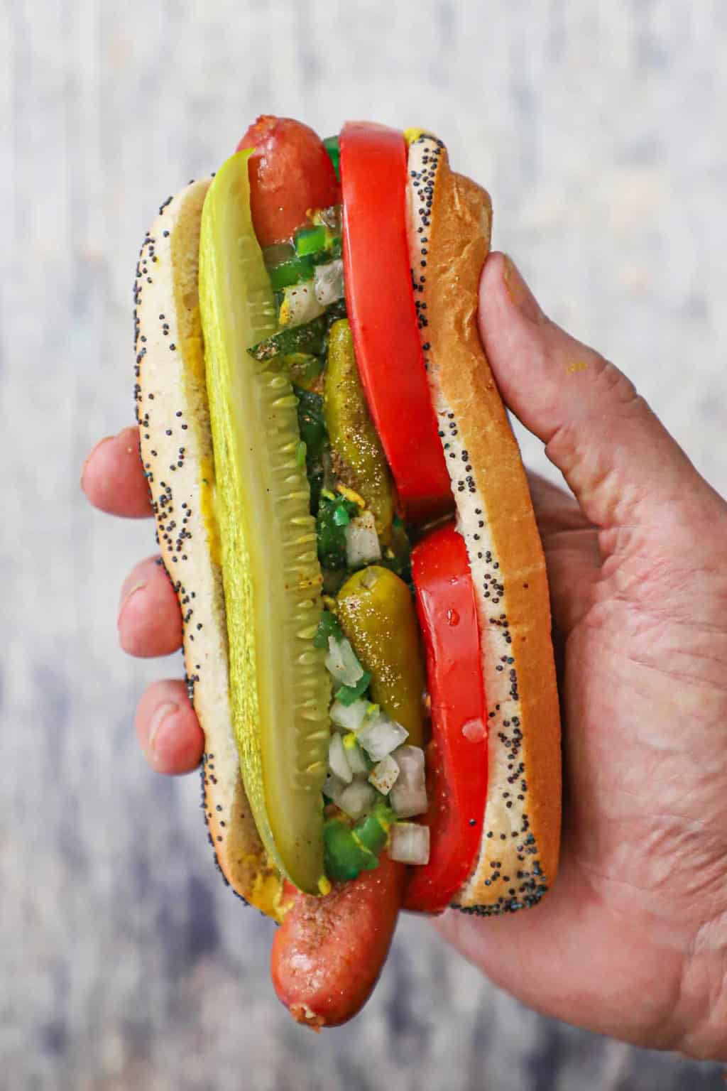 Chicago-Style Hot Dog | How To Feed A Loon