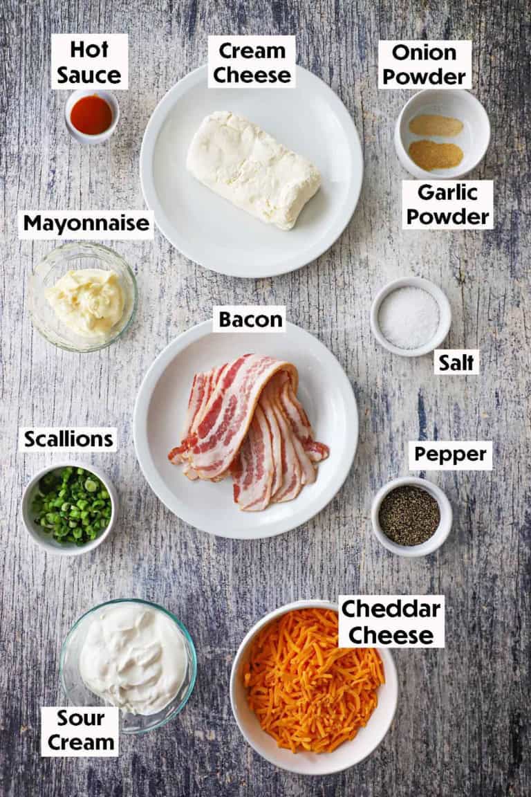 Ultimate Hot Bacon and Cheddar Dip | How To Feed A Loon