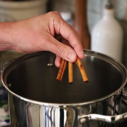 Glühwein (Mulled Wine) (With Video) | How To Feed A Loon