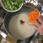 Broccoli Cheddar Soup Panera Copycat How To Feed A Loon