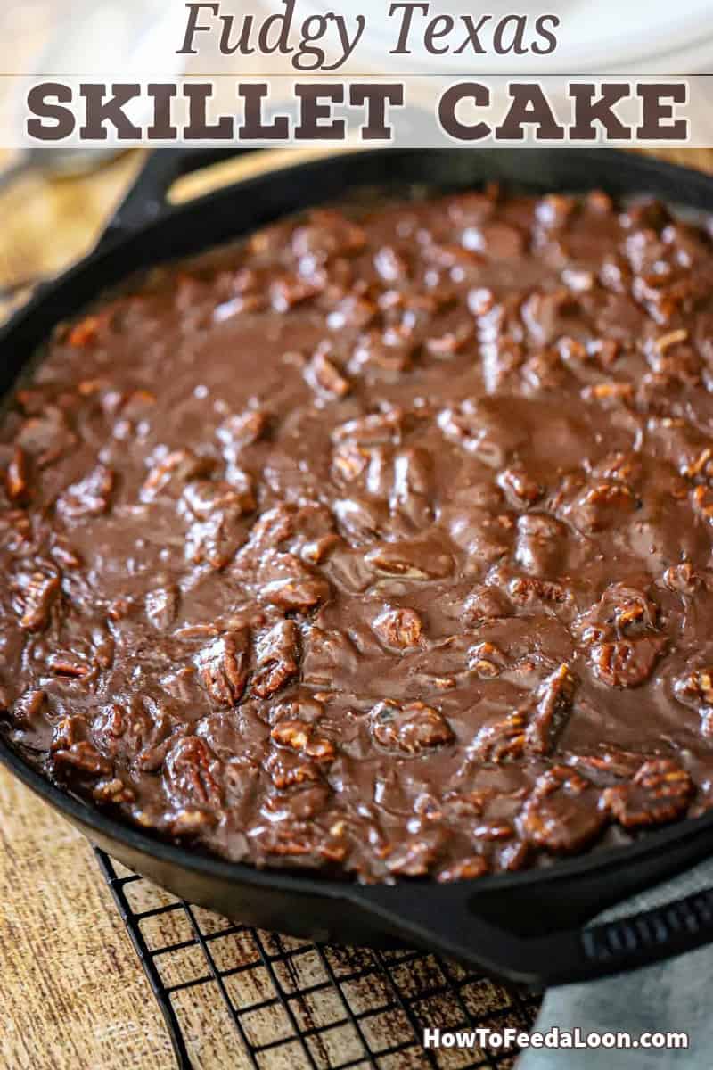 Fudgy Texas Skillet Cake (The Best Cast-Iron Dessert) | How To Feed A Loon